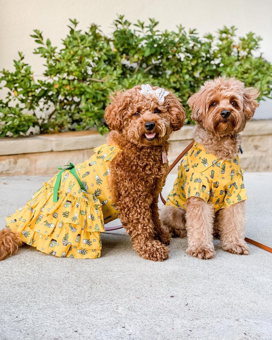 Wholesale Dog Clothing & Pet Apparel – Boutique & Designer Styles ...