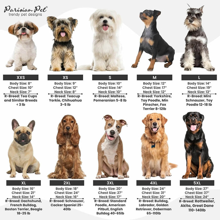 Parisian Pet - Size Chart – Parisian Pet - Wholesale